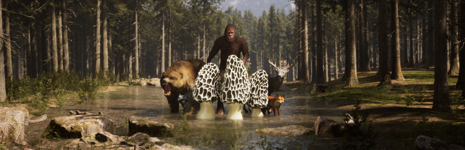 Morels: The Hunt | Rock Paper Shotgun