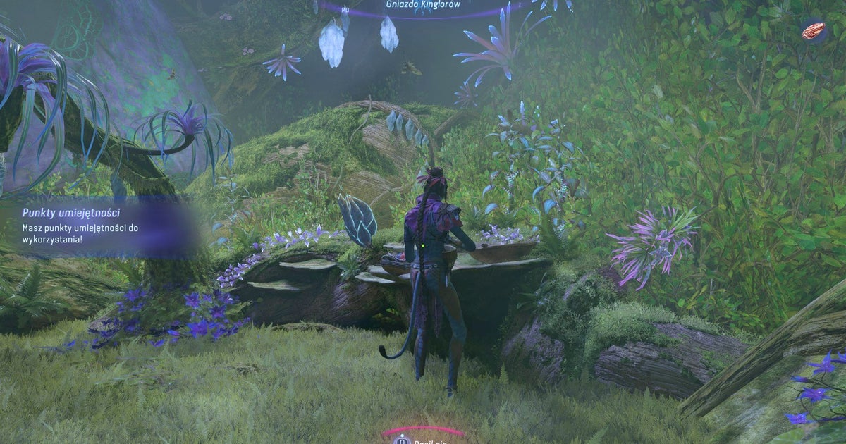 Avatar Frontiers Of Pandora Zaginiony łowca Jaskinia Eetu Samolot