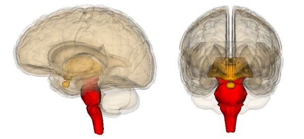 Waffle: My Distracted Gaming Mind | Rock Paper Shotgun