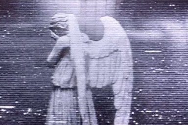 Job Weeping Angels