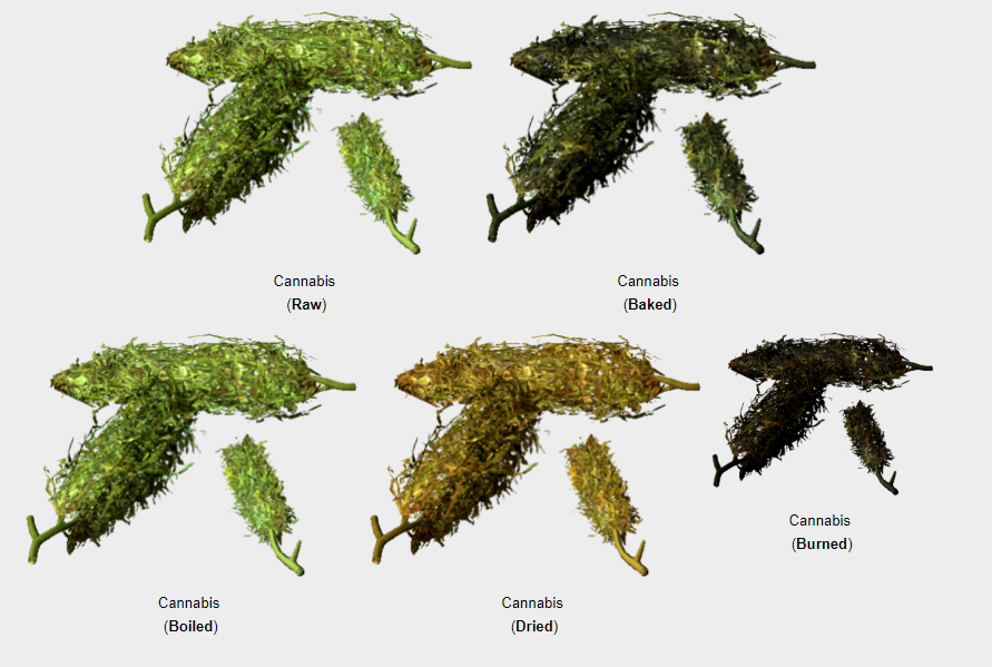 Weed isn't usable in DayZ, but it's got the game banned in Australia ...