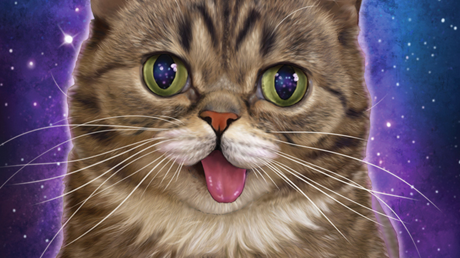 Lil Bub Desktop Wallpaper