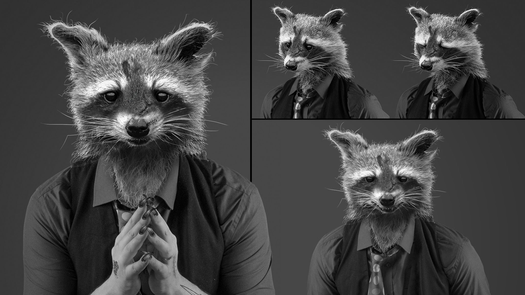 Chicken Police is an animal detective game with suspicious roosters and ...