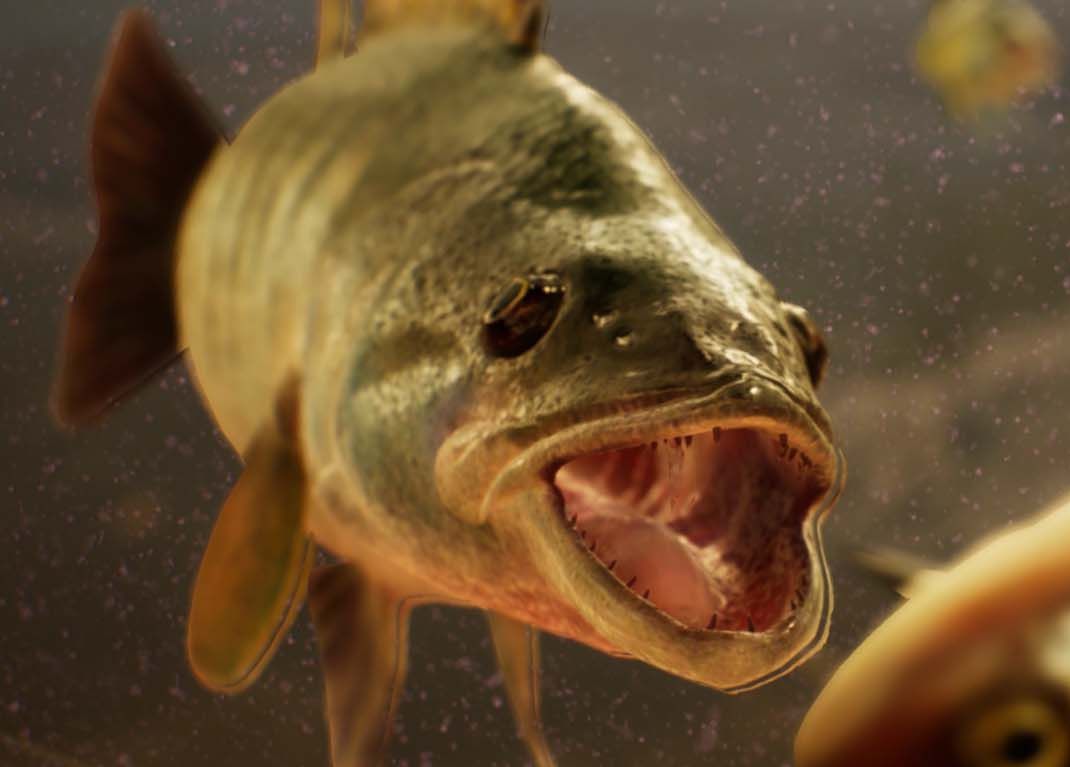 The Catch: Carp and Coarse will feature five lovely fishing spots | VG247