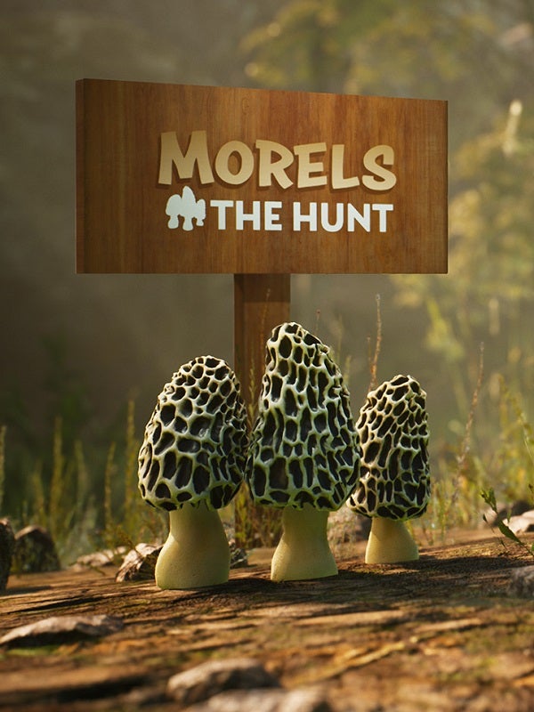 Morels: The Hunt | Rock Paper Shotgun