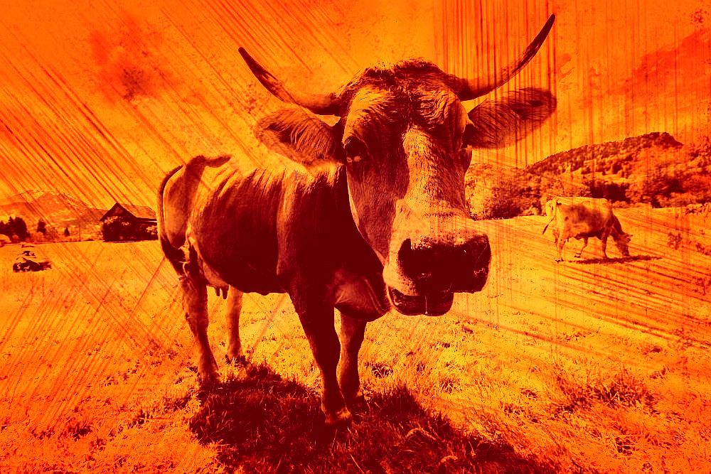 Diablo Anniversary fun spills over into World of Warcraft with a Cow ...