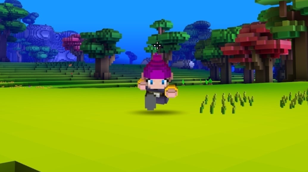Cube World Character