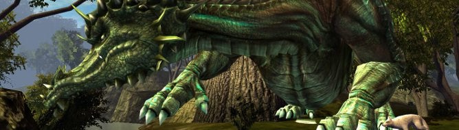 Ddo Druid Build