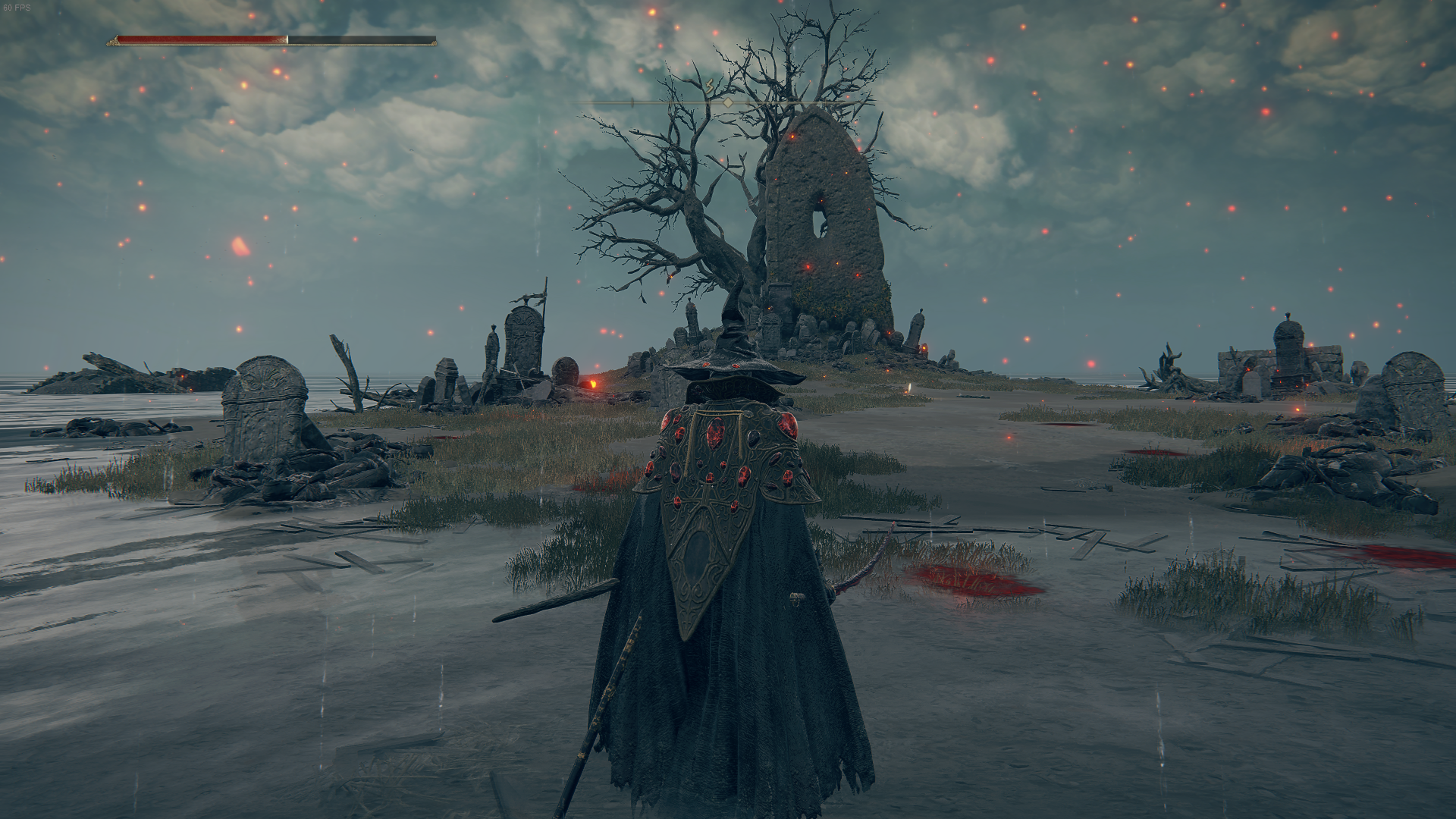 Elden Ring Castle Morne Guide: How to Beat Leonine Misbegotten | VG247