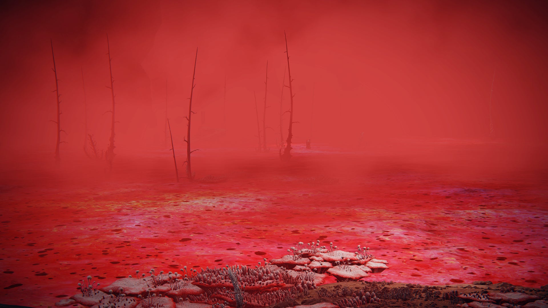 Games of 2022: Elden Ring had the year's best cosmic gods | Eurogamer.net