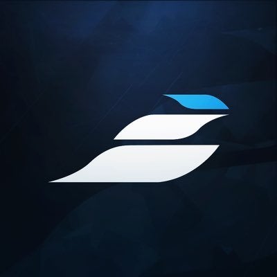 Epsilon Team Logo