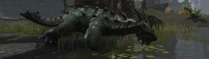 Elder Scrolls Online video shows off the Wamasu | VG247