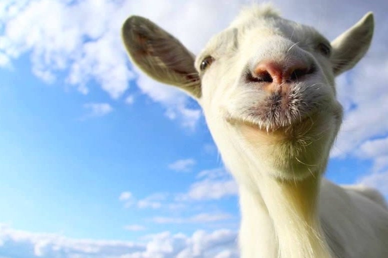 Goat Simulator review | Eurogamer.net
