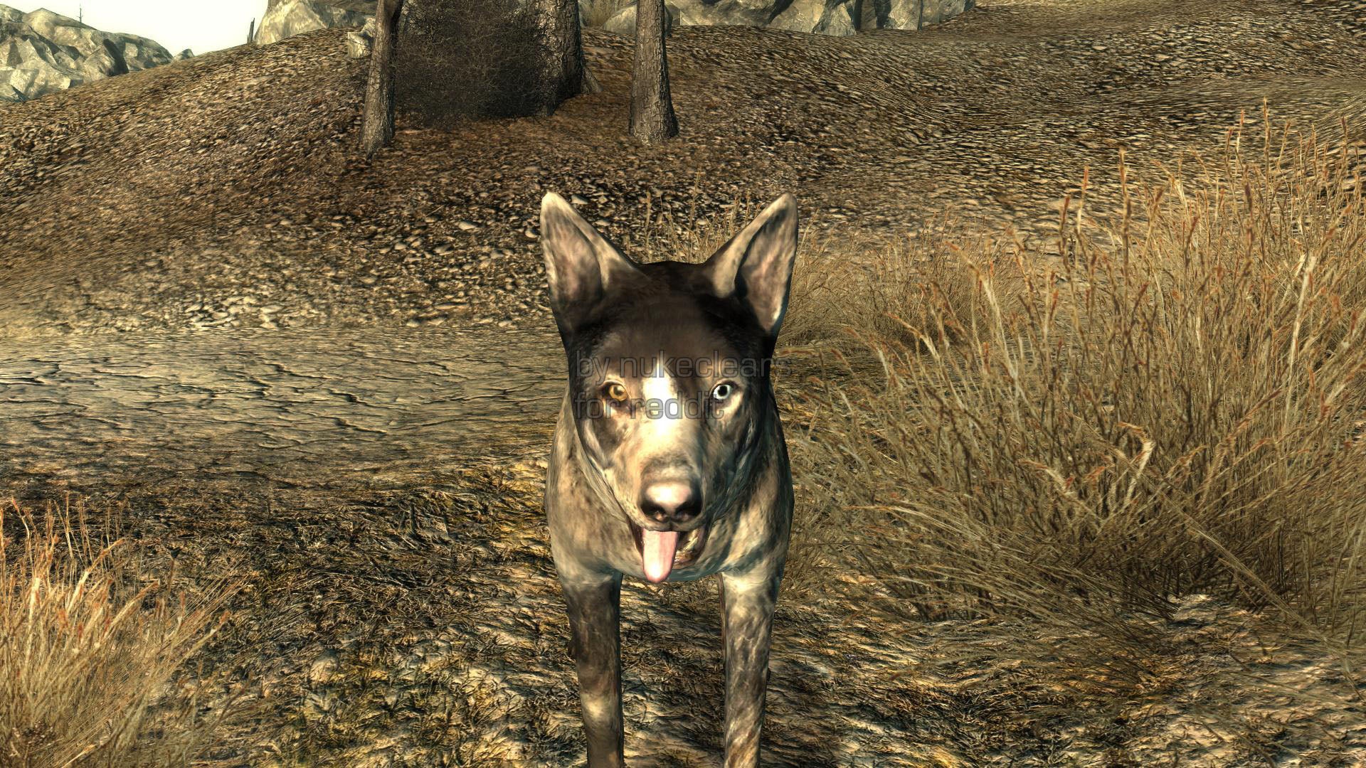 Fallout 4 vs. Fallout 3 comparison shots show how far we've come | VG247