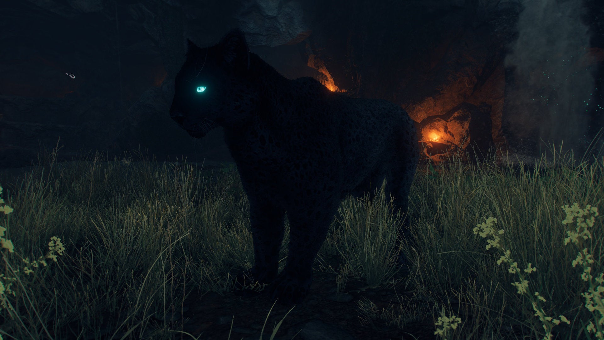 Black Panther Far Cry 3