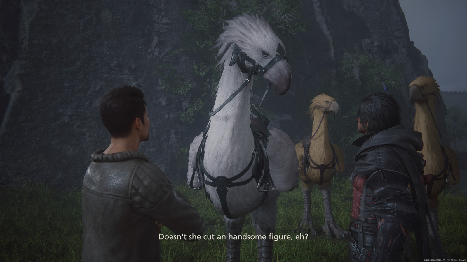 Ff Chocobo