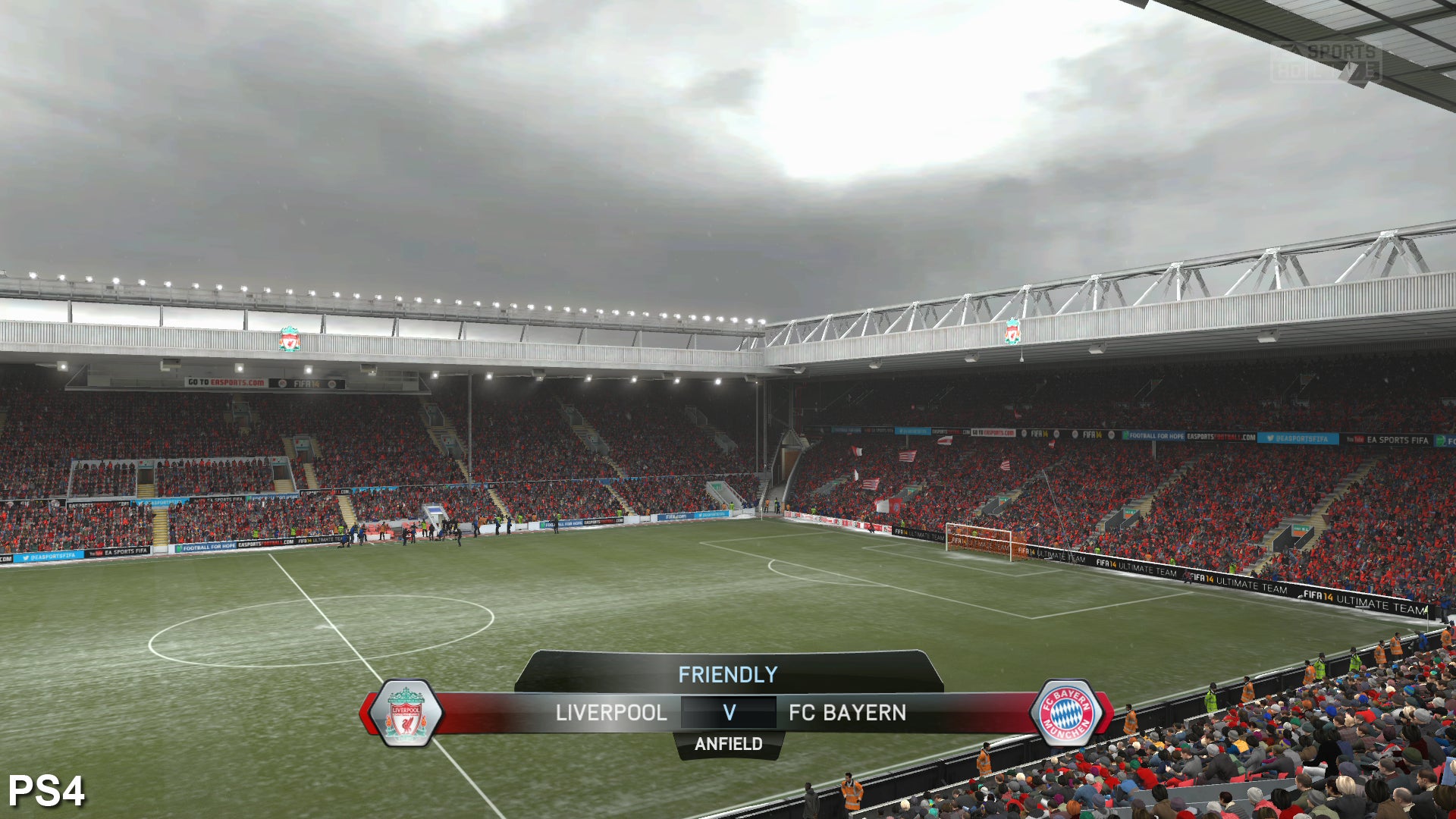 Pele Fifa 14 Face