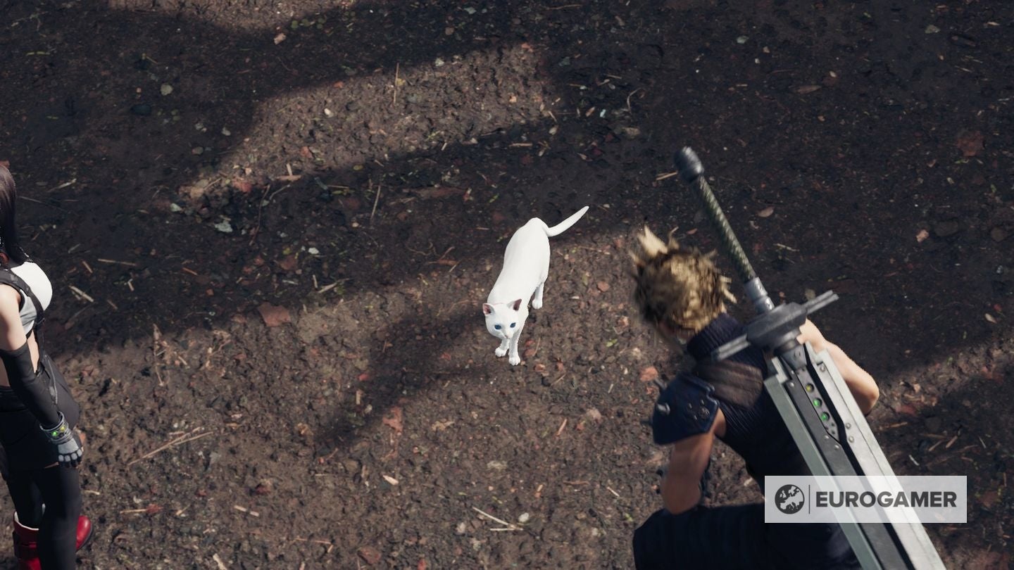 Final Fantasy 7 Lost Friends quest: Where to find all three cat ...