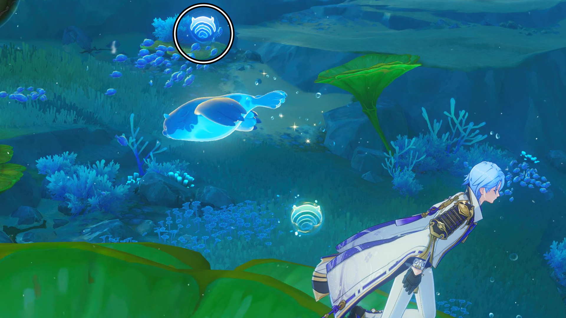 Genshin Impact Swimming and Diving, including diving spots, underwater ...