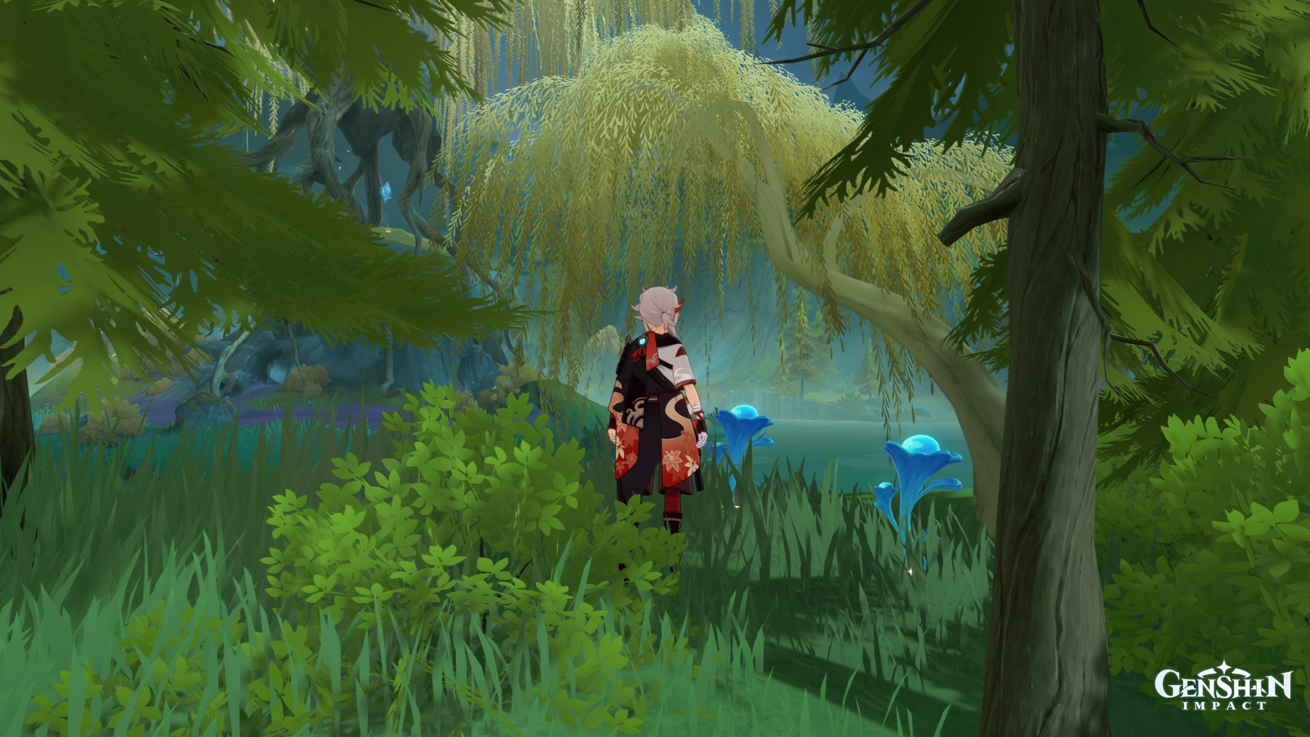 Genshin Impact Lakelight Lily locations and Lakelight Lily farming tips ...