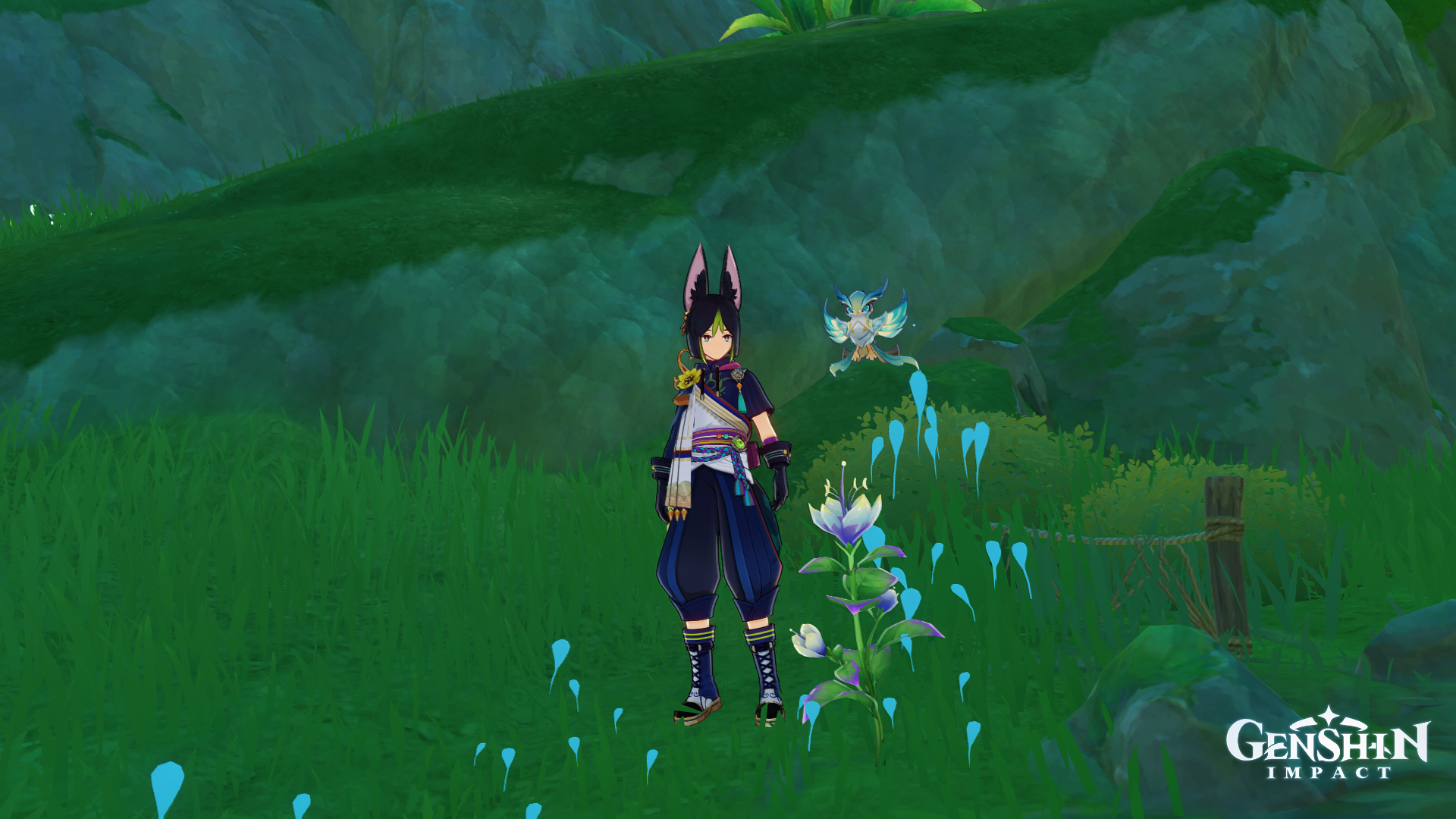 Genshin Impact all Padisarah locations and Padisarah farming tips | VG247