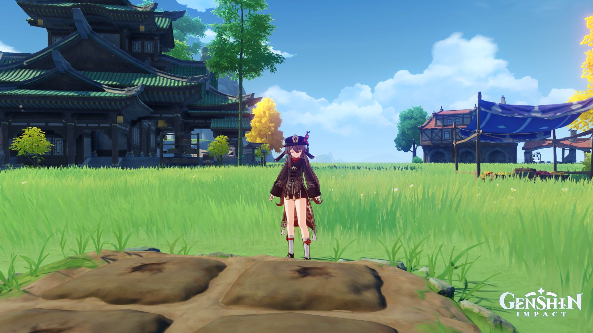 Genshin Impact Windwheel Aster locations and uses | VG247