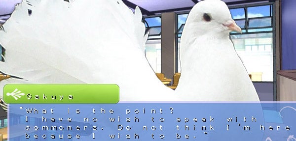 Pigeon Dating Sim