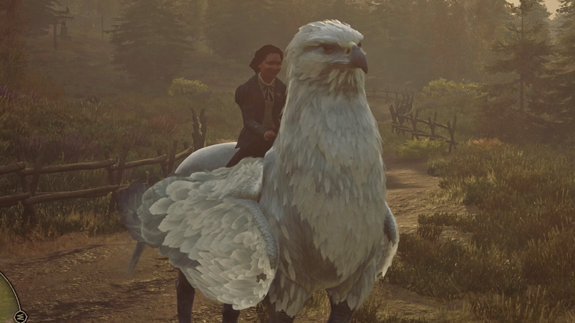 Hogwarts Legacy - latający wierzchowiec, Hipogryf: jak zdobyć ...