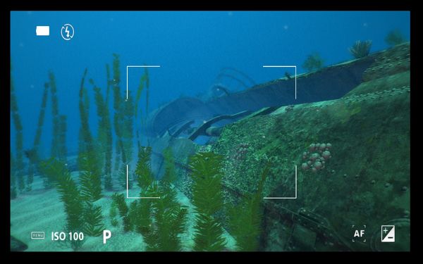 World of Diving | Eurogamer.net