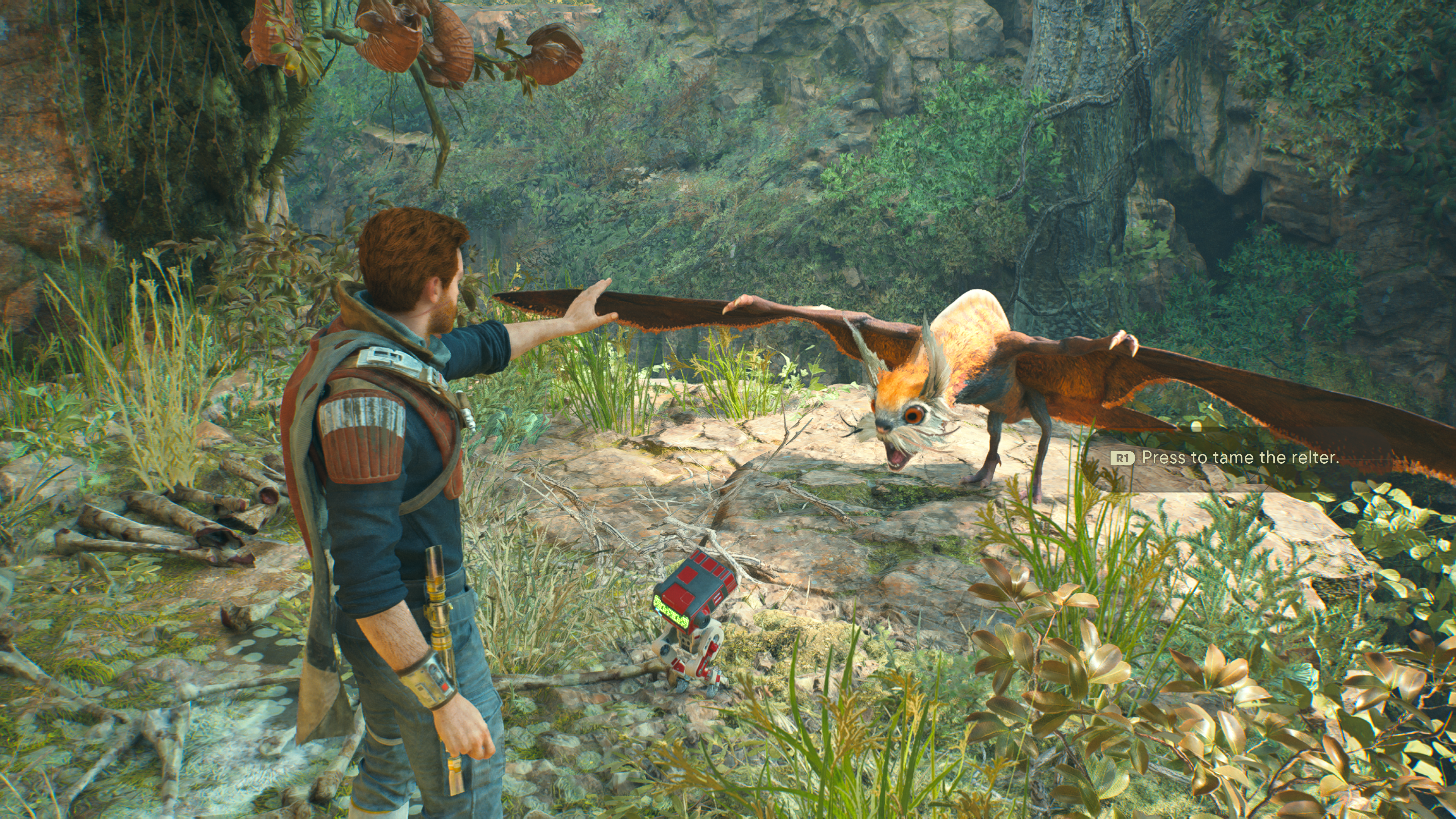 Star Wars Riding Creatures