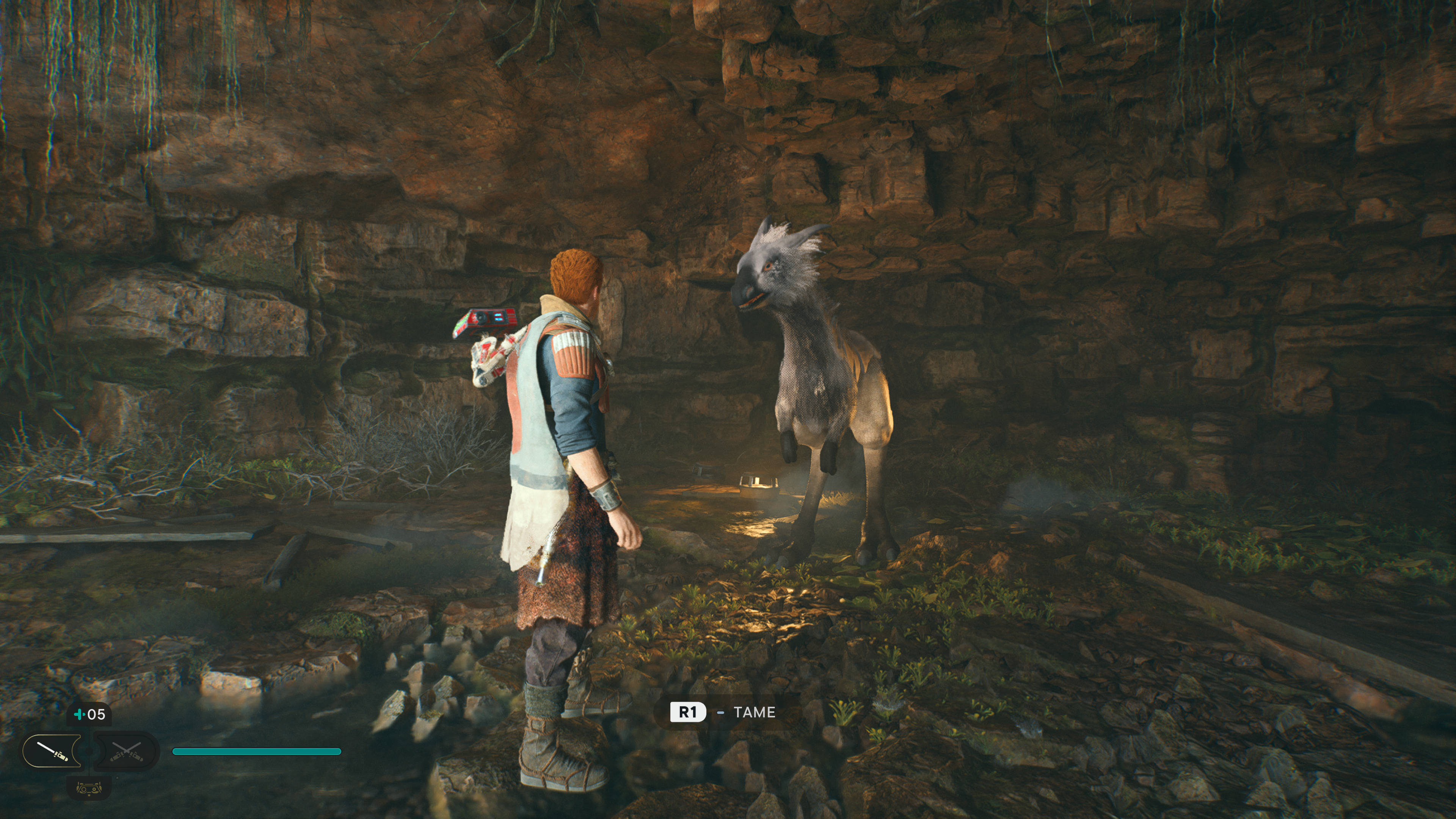 Star Wars Riding Creatures