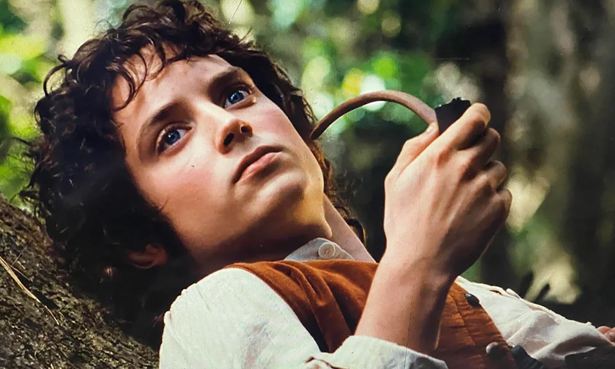 Frodo Baggins actor Elijah Wood endorses our idea for Lord of the Rings ...