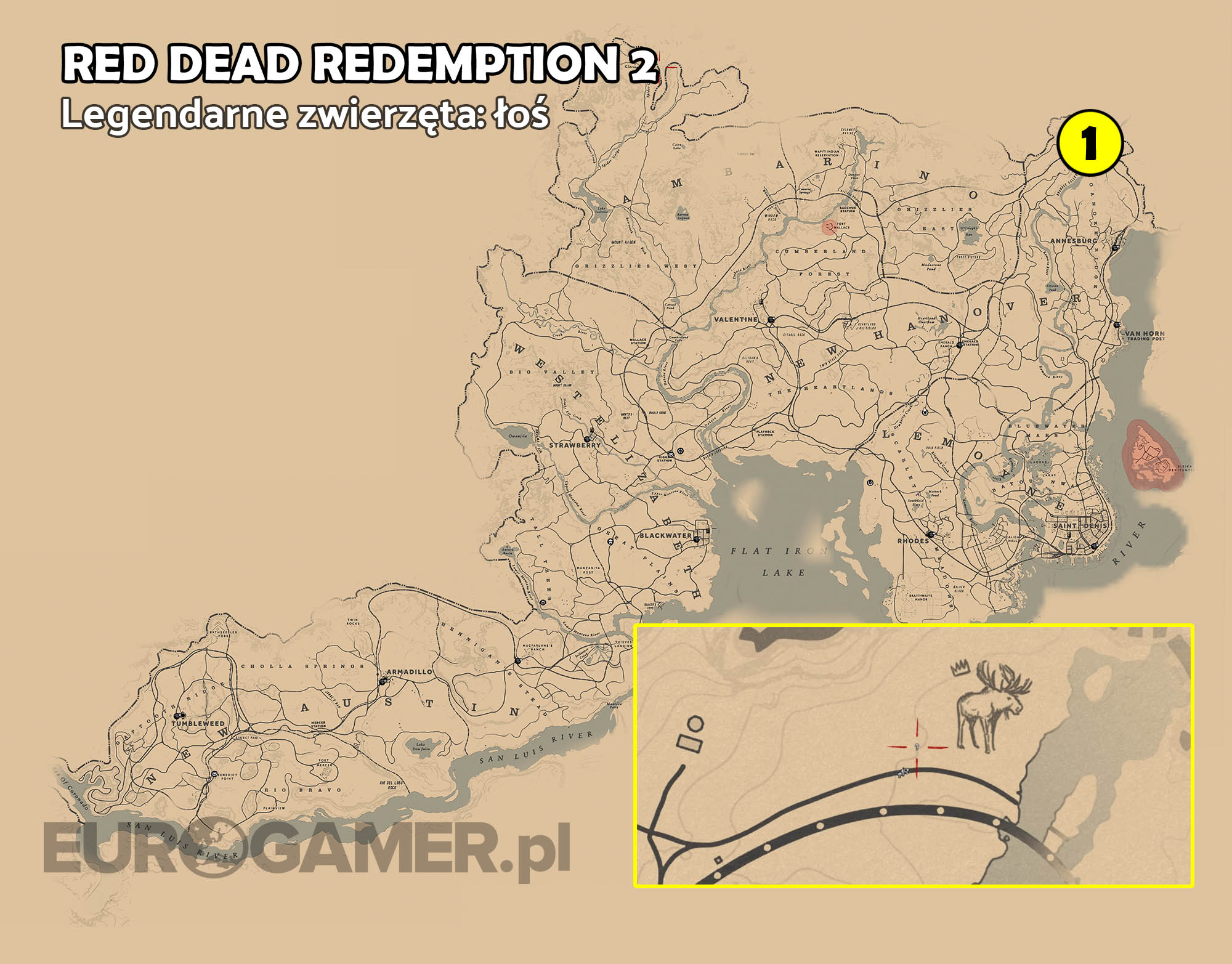 Red Dead Redemption 2 - legendarne zwierzęta: łoś | Eurogamer.pl
