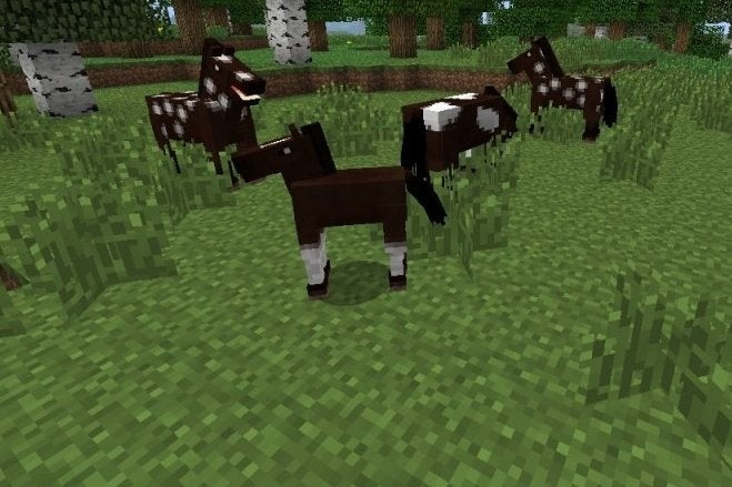 Minecraft Horse