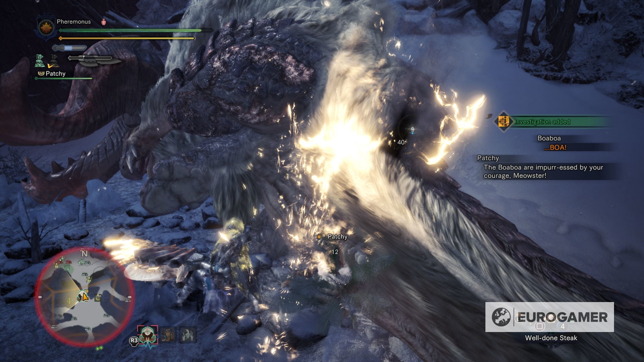 Monster Hunter World Boaboa quests: Where to find Boaboa locations and ...