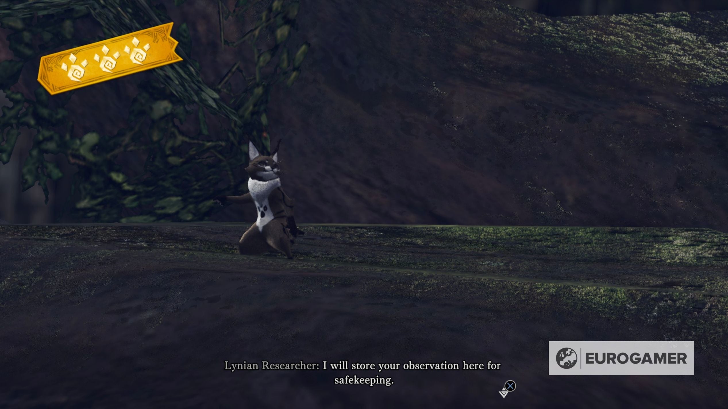 Monster Hunter World Surveyor Set solutions | Eurogamer.net