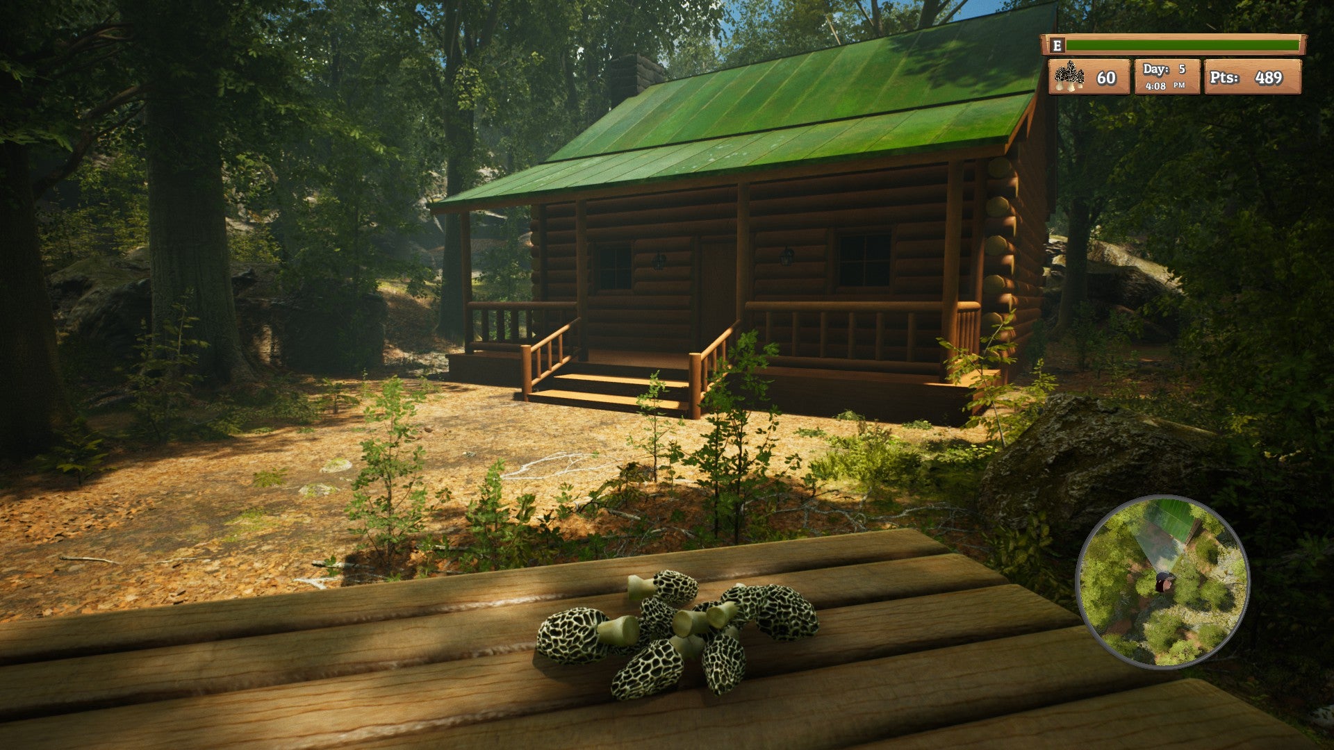 Morels: The Hunt | Rock Paper Shotgun