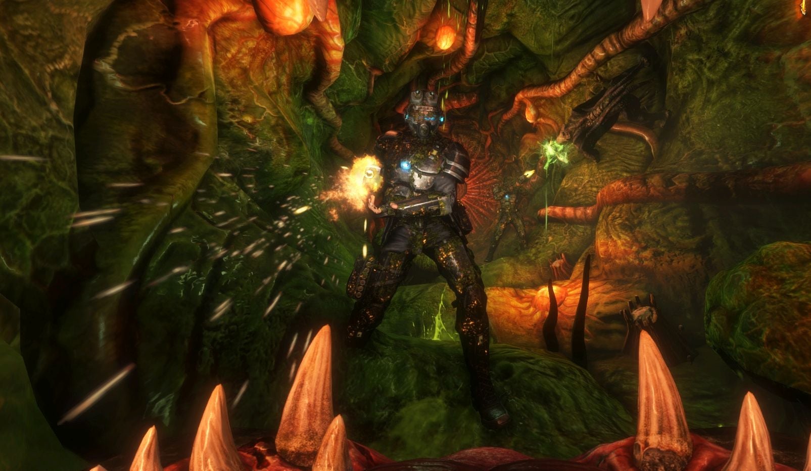 Natural Selection Game