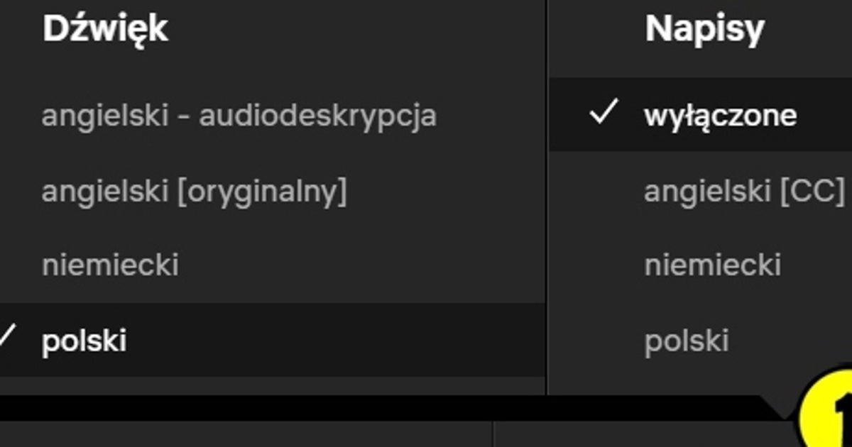 Netflix - napisy, ścieżka dźwiękowa i lektor: ustawienia, wygląd ... Netflix - napisy, ścieżka dźwiękowa i lektor: ustawienia, wygląd ...