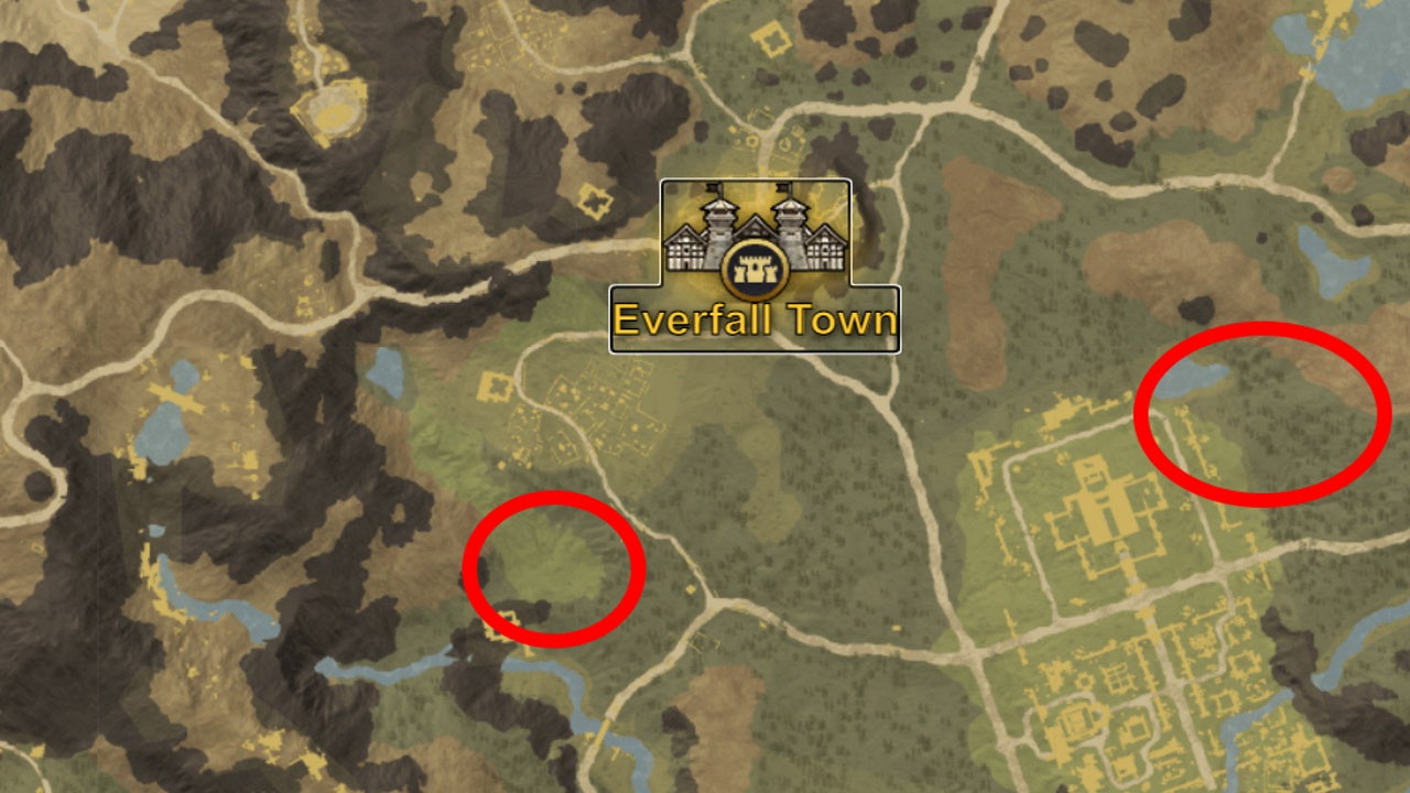 New World Turkulon guide - Giant turkey locations and how to get ...