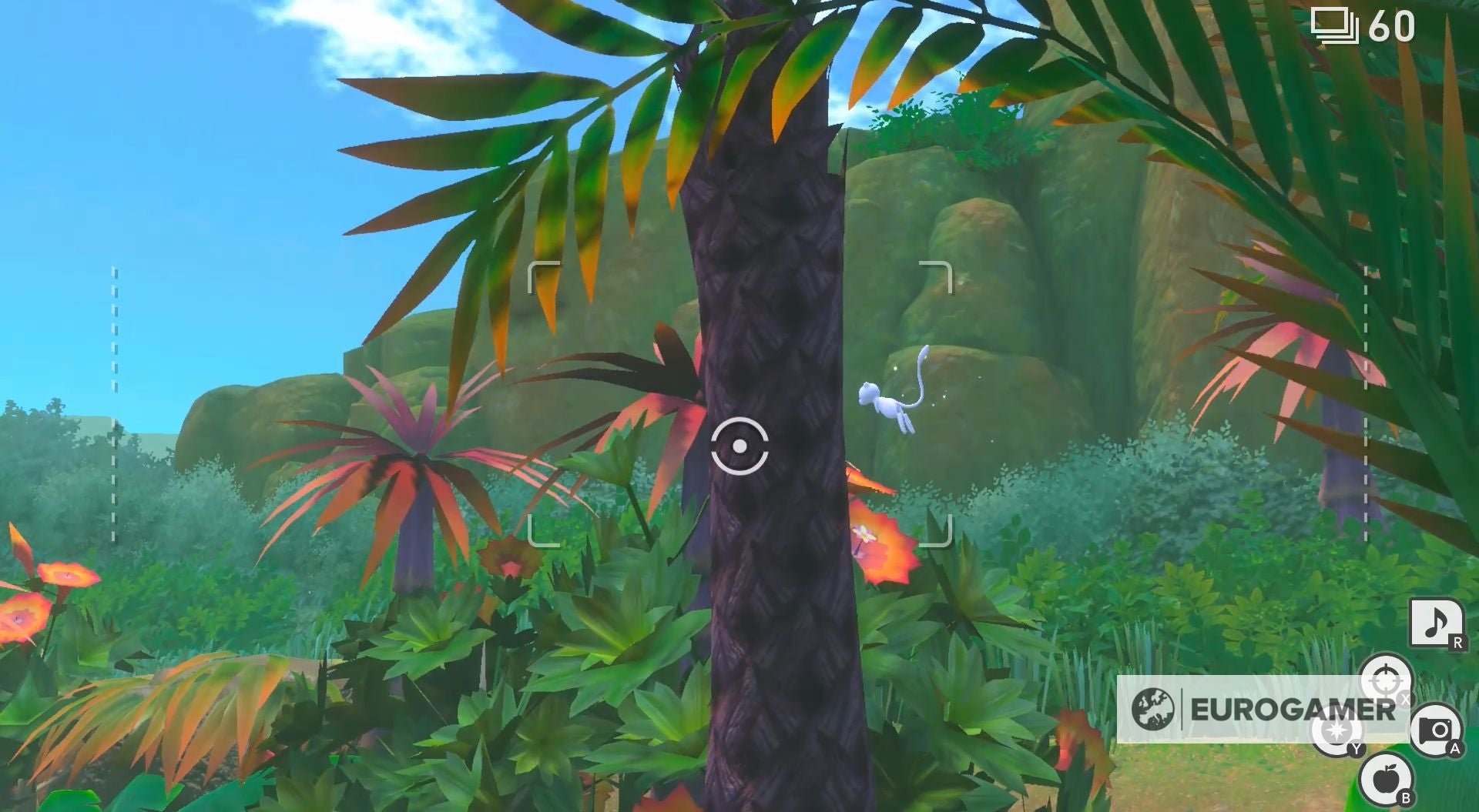 New Pokémon Snap - Mew locations in the Jungle Day and Night courses ...