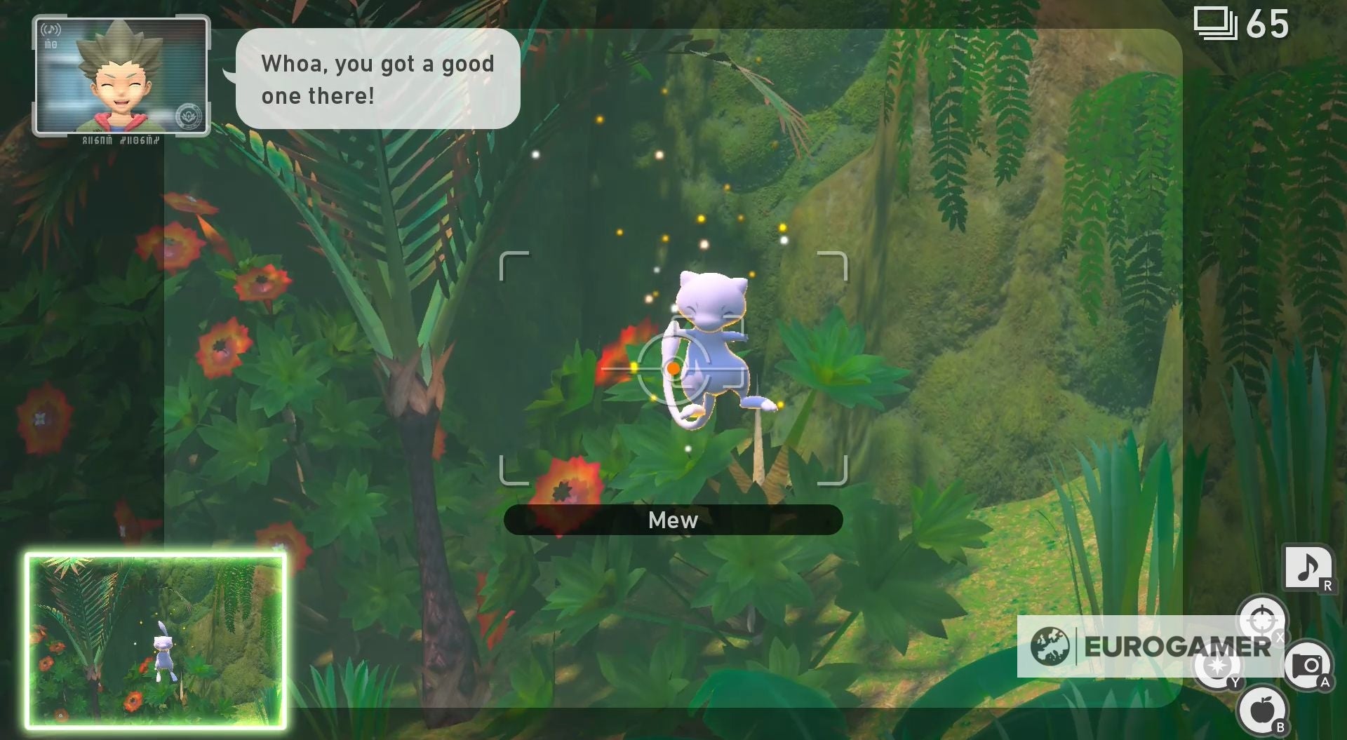 New Pokémon Snap - Mew locations in the Jungle Day and Night courses ...
