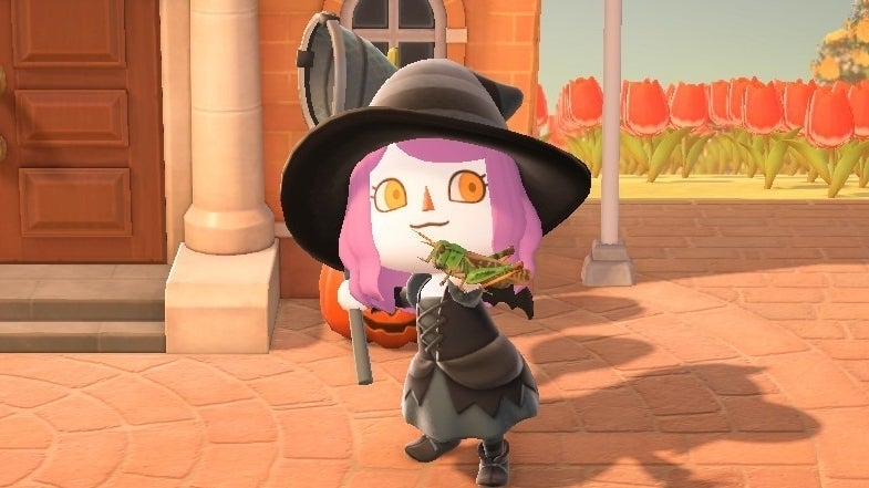 New Bugs and Fish in November: Everything arriving and leaving this ...