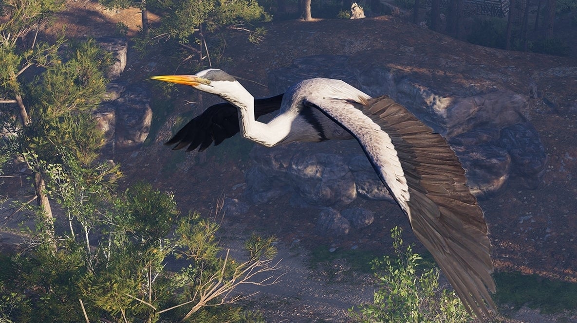 On birdwatching in video games | Eurogamer.net