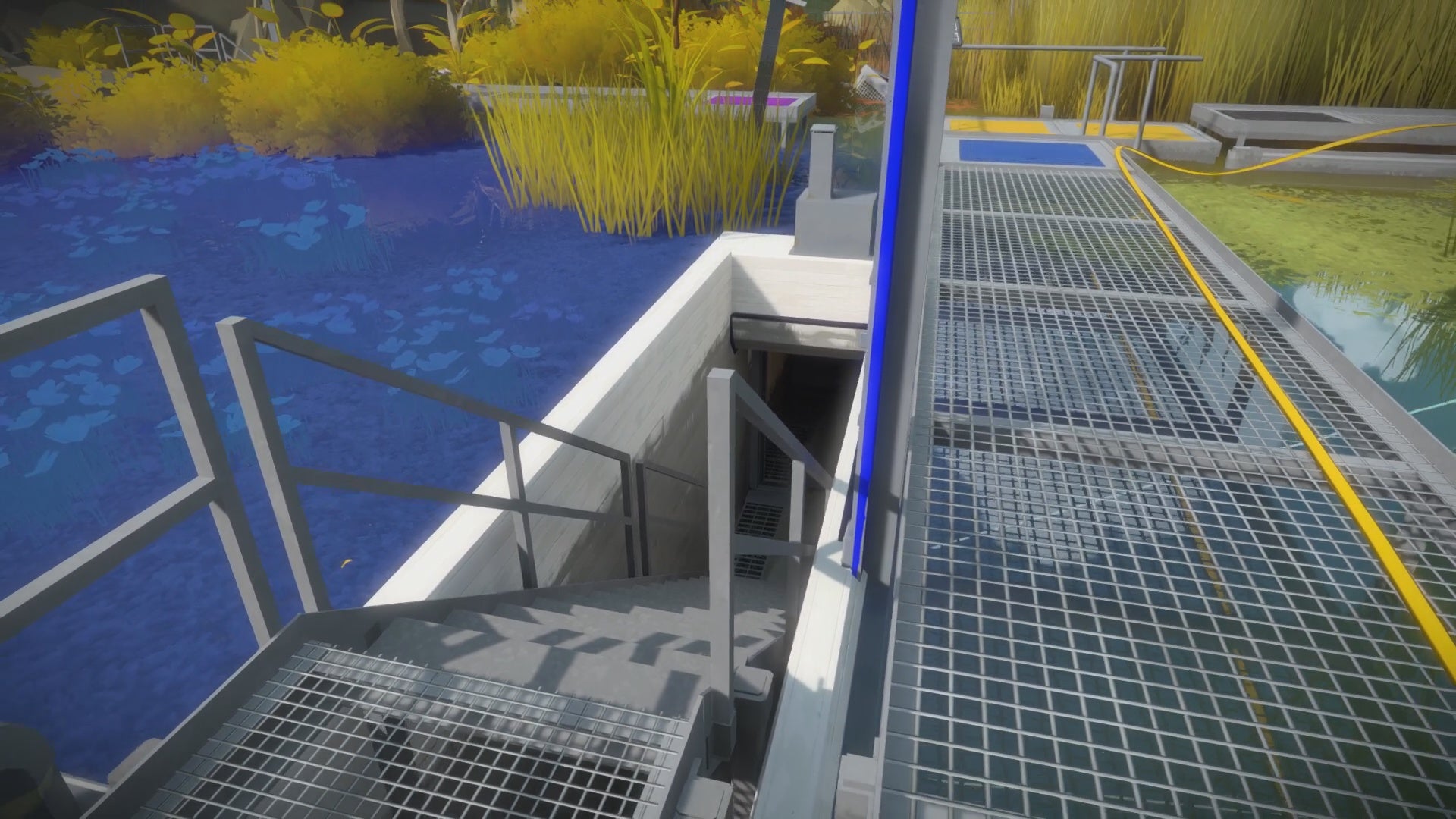 The Witness - The Marsh Puzzle Solution | VG247