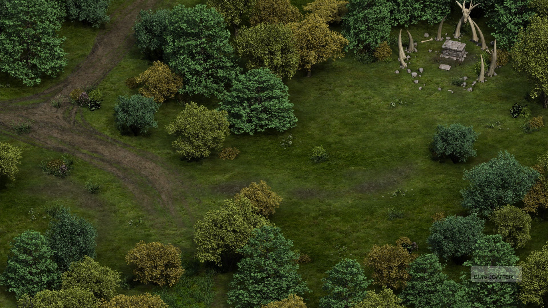 Pillars of Eternity: What is a "mundane fantasy" RPG? | Eurogamer.net