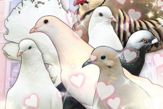 Pigeon dating sim Hatoful Boyfriend gets a release date | Eurogamer.net