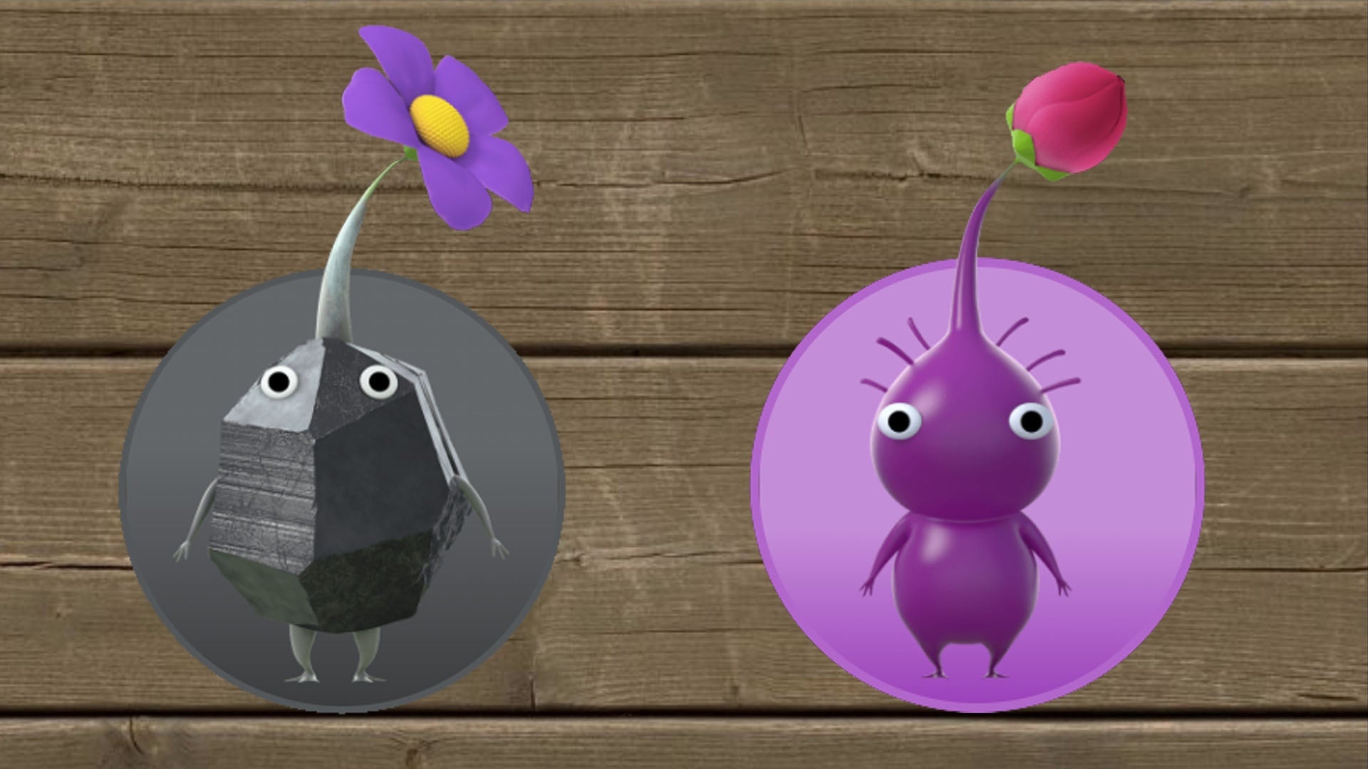How to get Purple and Rock Pikmin in Pikmin 4 | Eurogamer.net