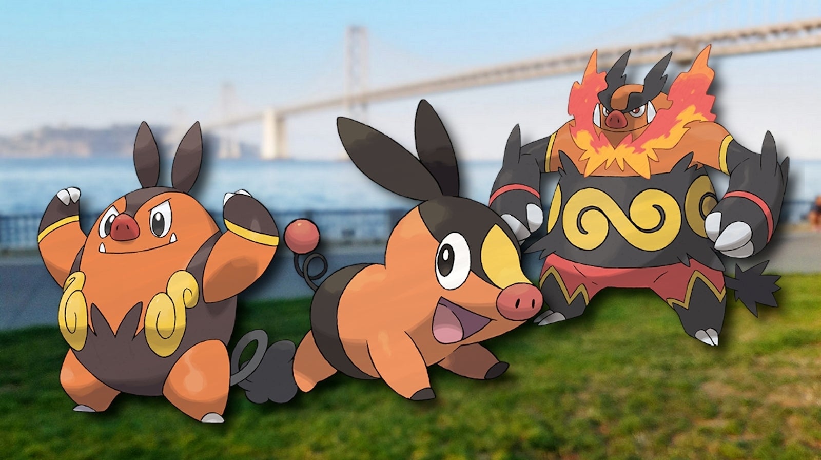 Pokémon Go Floink Community Day - Alle Infos zum Tag des Feuerferkels ...