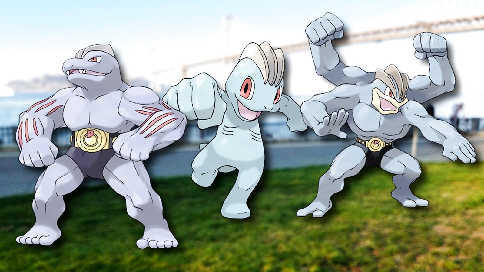 Pokémon Go Machollo Community Day - Forschung gelöst und wichtige Tipps ...